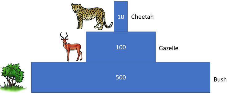 Pyramid Of Numbers Key Stage Wiki