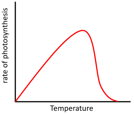 Photosynthesis - Key Stage Wiki