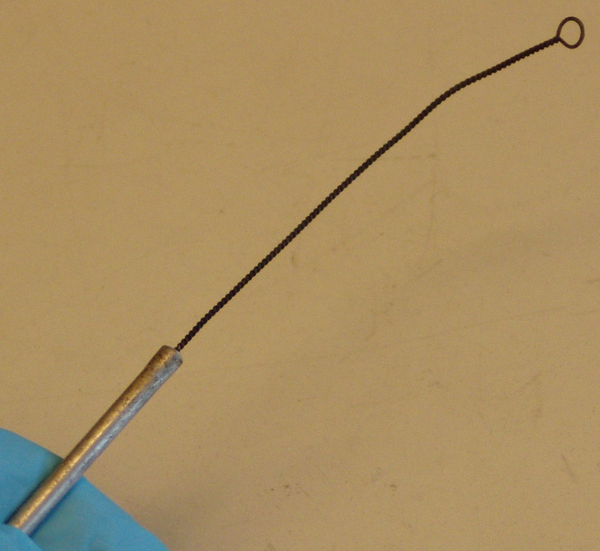 Inoculation Loop - Key Stage Wiki