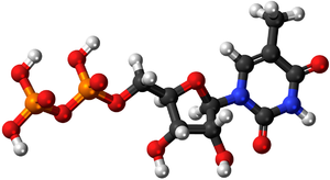 Monomer - Key Stage Wiki