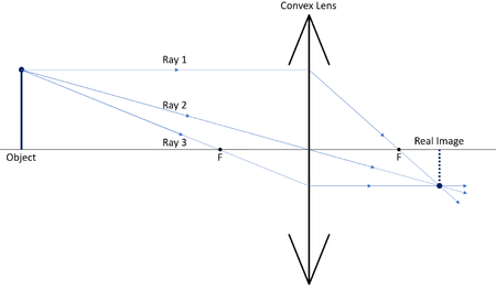 Convex Lens - Key Stage Wiki
