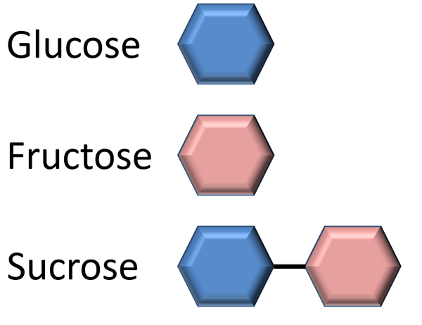 Sugar - Key Stage Wiki