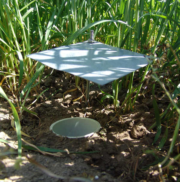 Pitfall Trap - Key Stage Wiki