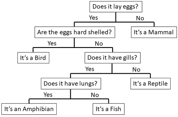 Classification Key - Key Stage Wiki