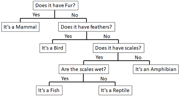 Classification Key - Key Stage Wiki