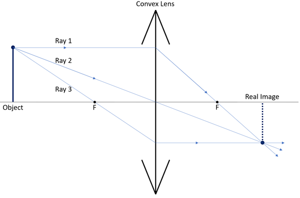 Convex Lens - Key Stage Wiki