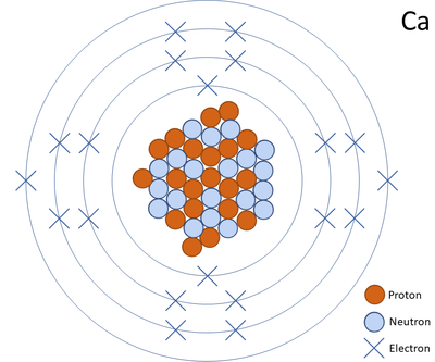 Calcium - Key Stage Wiki