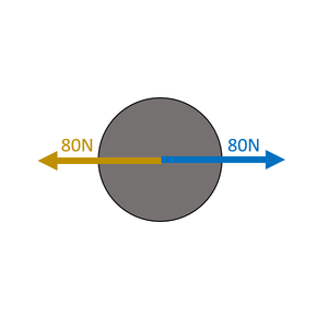 Balanced Forces - Key Stage Wiki