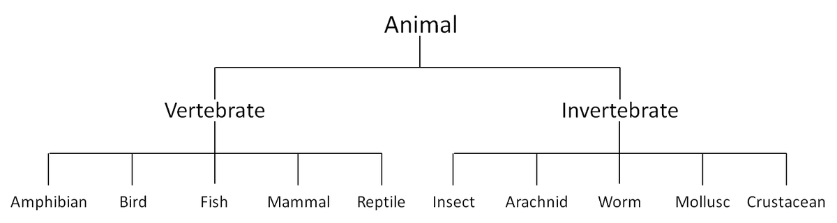 Animal - Key Stage Wiki