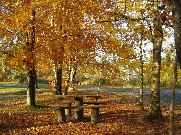 Autumn - Key Stage Wiki