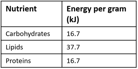 Balanced Diet - Key Stage Wiki