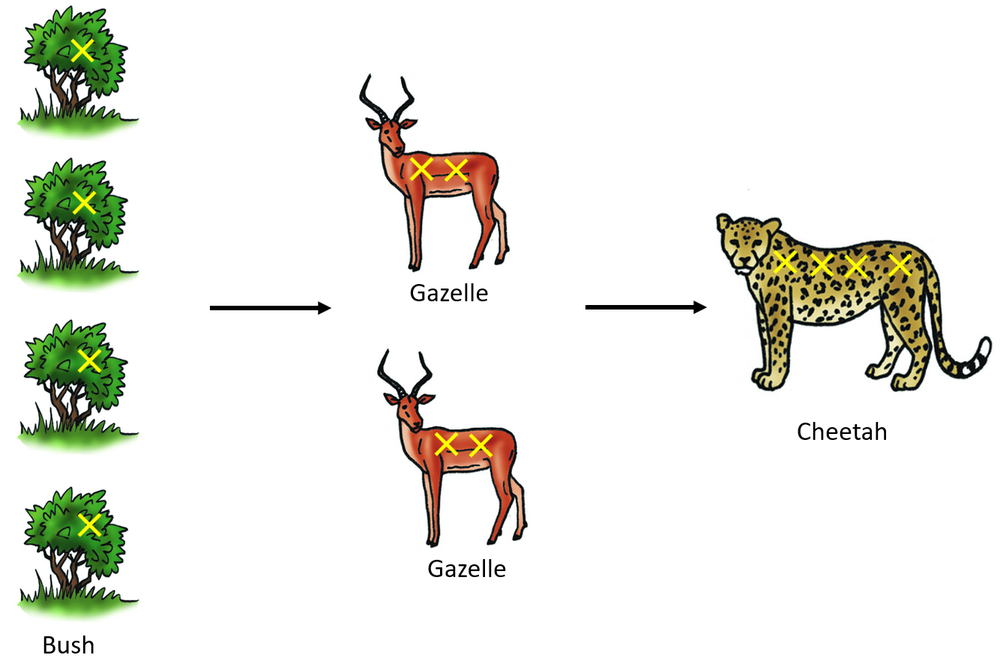 Pollution - Key Stage Wiki