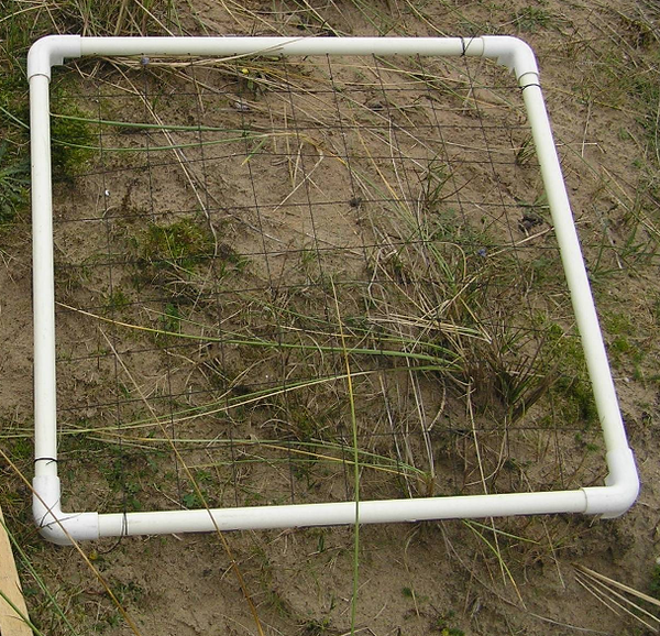 Sampling (Biology) - Key Stage Wiki