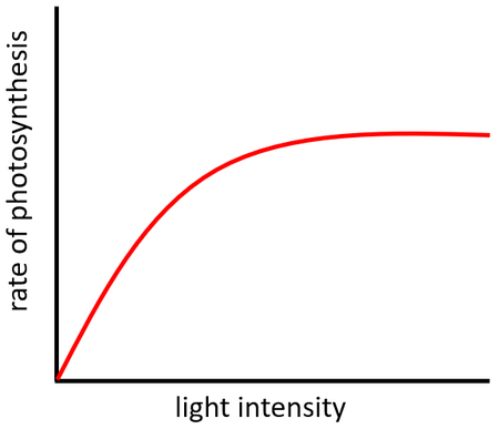 Photosynthesis - Key Stage Wiki